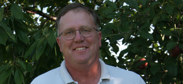 Apple pollination driven by honeybee management - Fruit Growers News