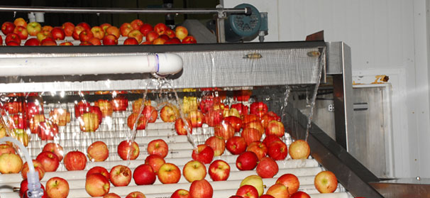 Apple slice processors get ready for 'interesting' season - Fruit ...
