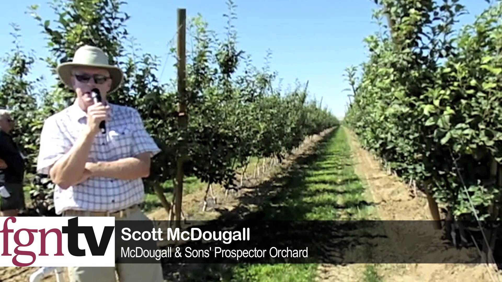 Steep V Approach to Honeycrisp — FGNtv - Fruit Growers News