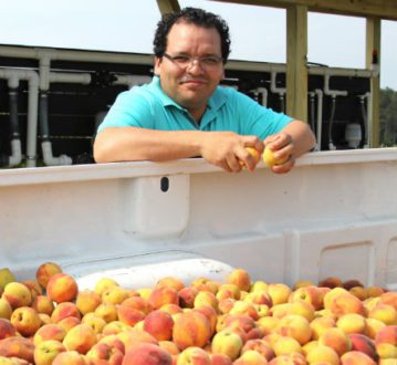 New generation of researchers helps peach growers - Fruit Growers News
