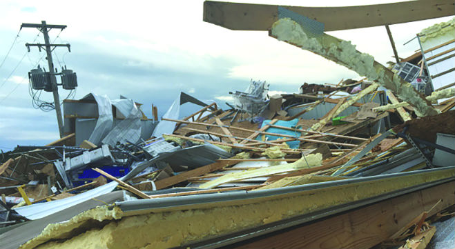 True Blue Farms bouncing back from tornado damage - Fruit Growers News