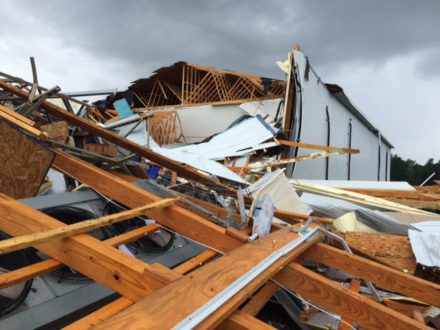 True Blue Farms bouncing back from tornado damage - Fruit Growers News