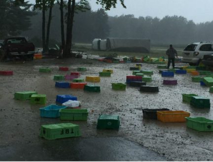 True Blue Farms bouncing back from tornado damage - Fruit Growers News