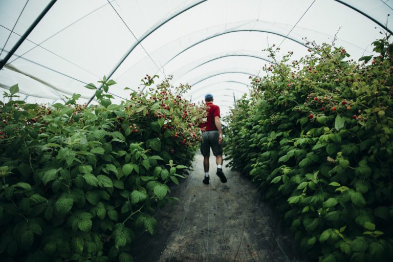 New York State Agricultural Experiment Station renamed ‘Cornell ...