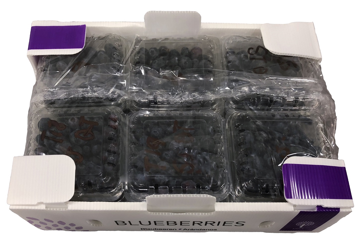 New packaging to keep blueberries fresh through supply chain - Fruit ...
