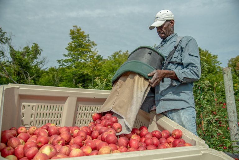 Study reveals NYS apple industry’s true economic impact - Fruit Growers ...