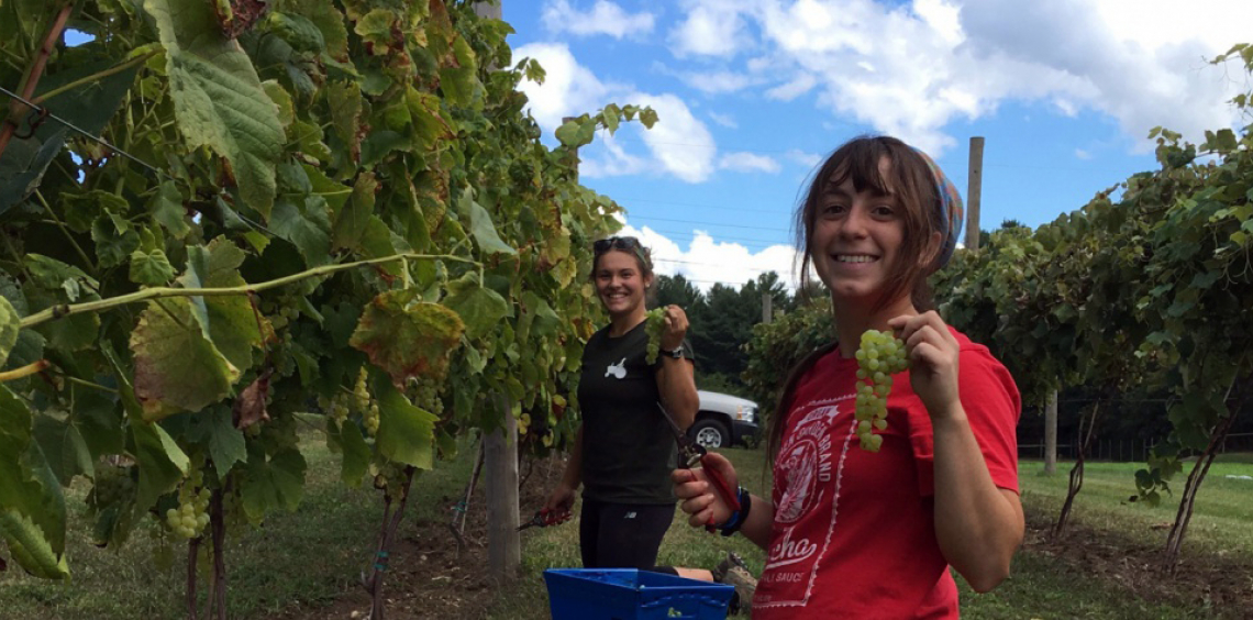 University of New Hampshire gears up for 7th annual Durham Farm Day ...