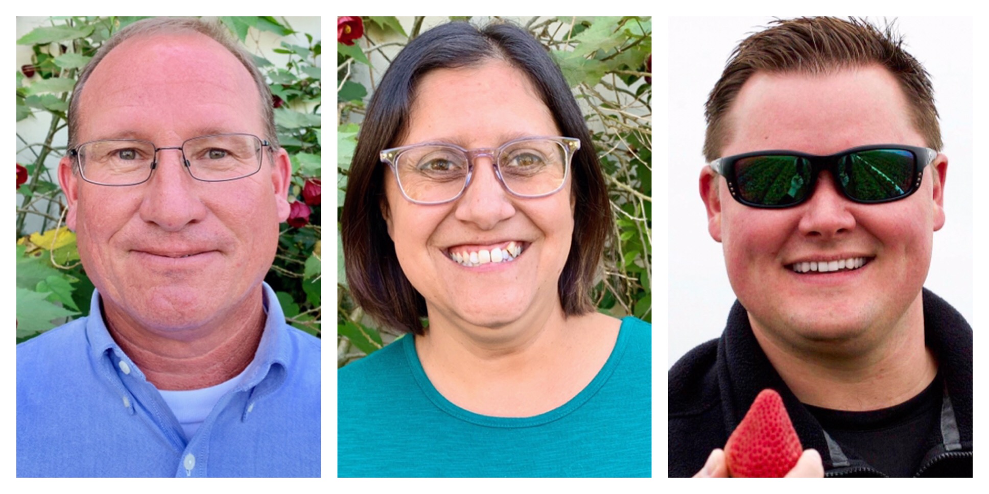 California Giant adds to staff, creates new roles - Fruit Growers News