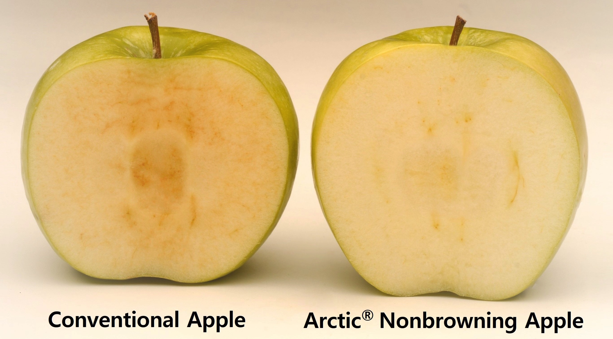 Okanagan Specialty Fruits launches new foodservice web portal - Fruit ...