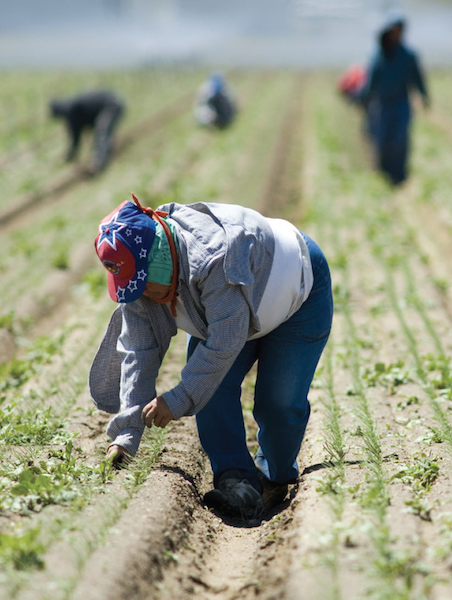NCAE Column: Farm families continue to go to work amid challenges ...