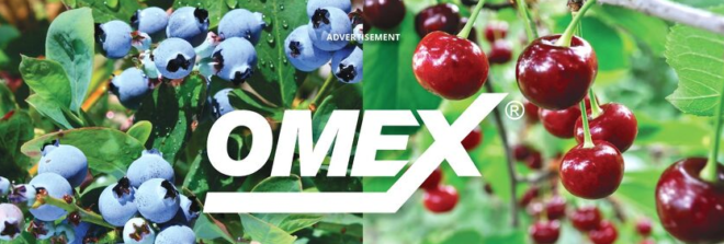 Don't treat harvest as the season finale - Fruit Growers News