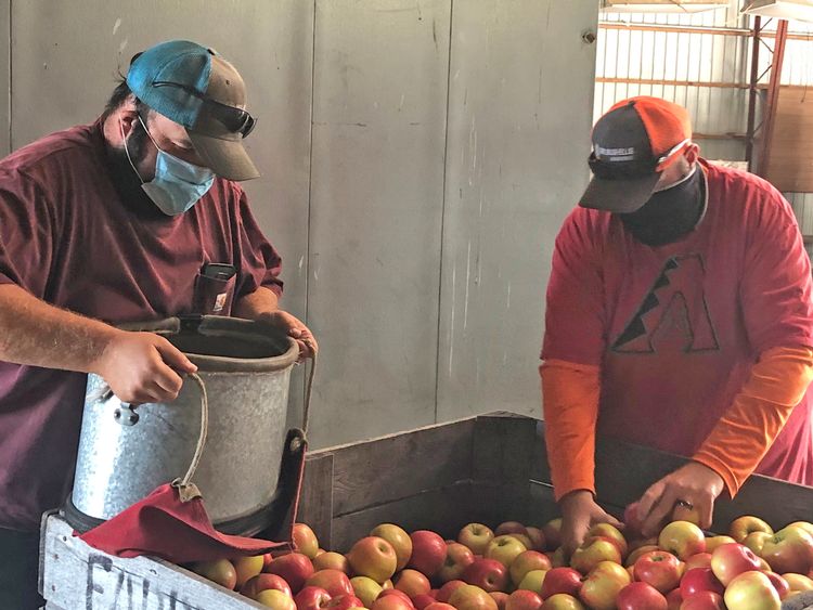 April hired farm workers down 11%; wages up 6%, USDA reports - Fruit ...