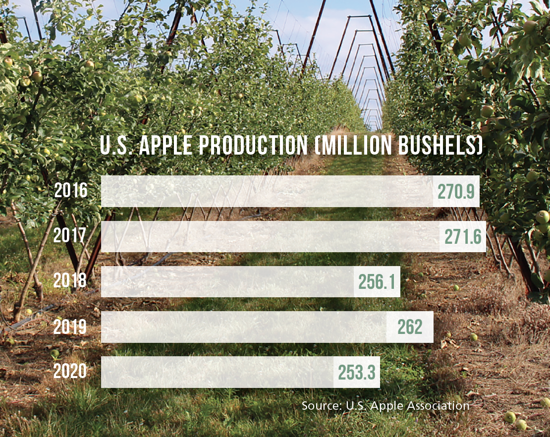 Apple forecast down slightly despite challenges - Fruit Growers News