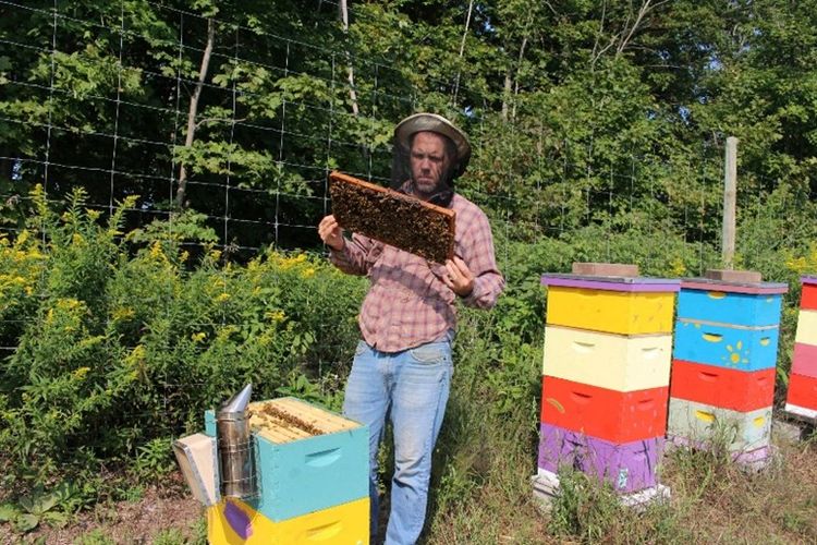 MSU co-hosts Michigan Beekeepers’ Association Virtual 2021 Conference ...