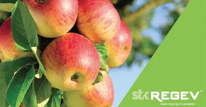 Hybrid use puts Regev in ‘game-changer’ mode - Fruit Growers News