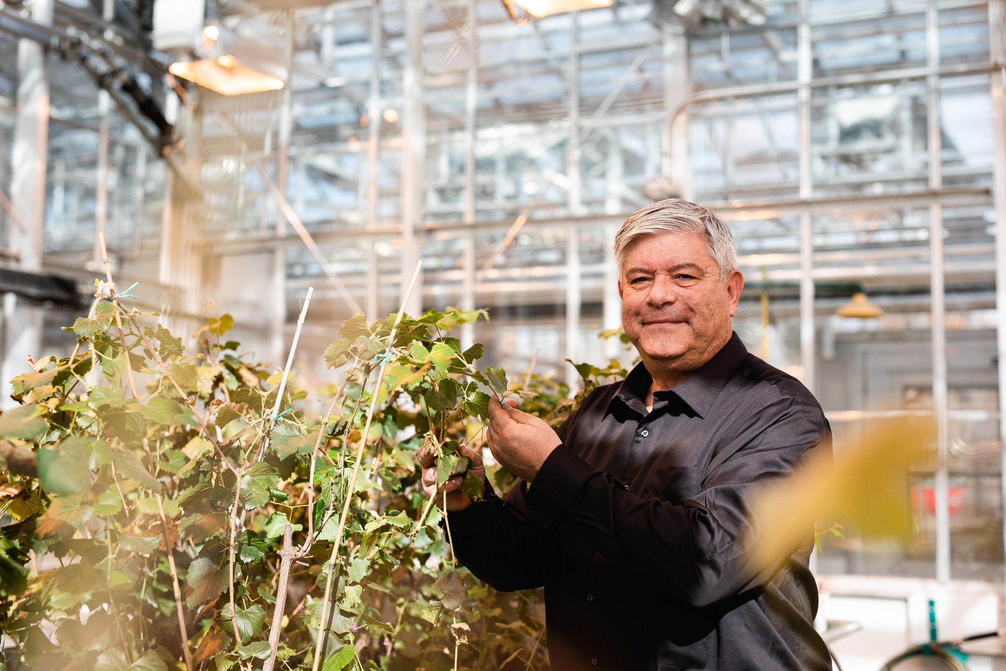 Cornell's Marc F. Fuchs cited for contributions to plant pathology ...