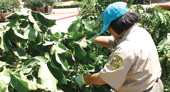 Suggestions sought for plant protection, National Clean Plant Network ...