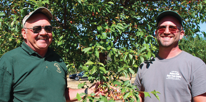 Michigan cherry grower sees large crop in tough year - Fruit Growers News