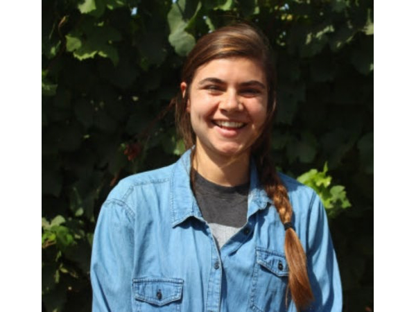 Indiana winegrape harvest projected to be fruitful - Fruit Growers News