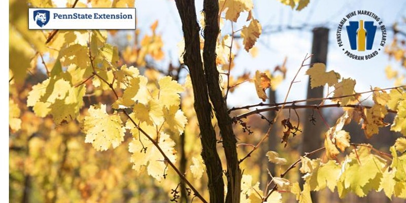 Deadline Feb. 23 for Pennsylvania Grape and Wine Industry Winter ...