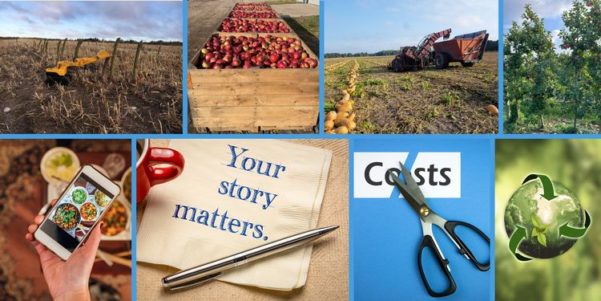 MSU schedules grower webinars - Fruit Growers News