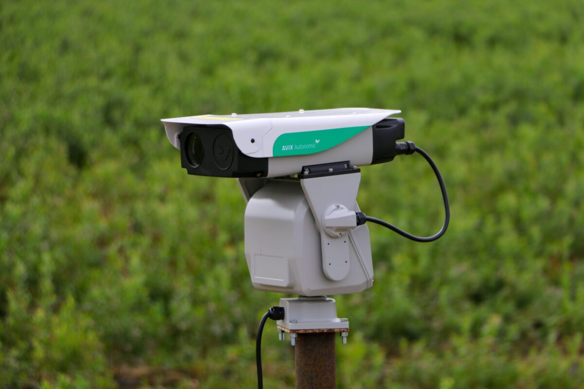 MSU: Laser repellent helps deter birds - Fruit Growers News