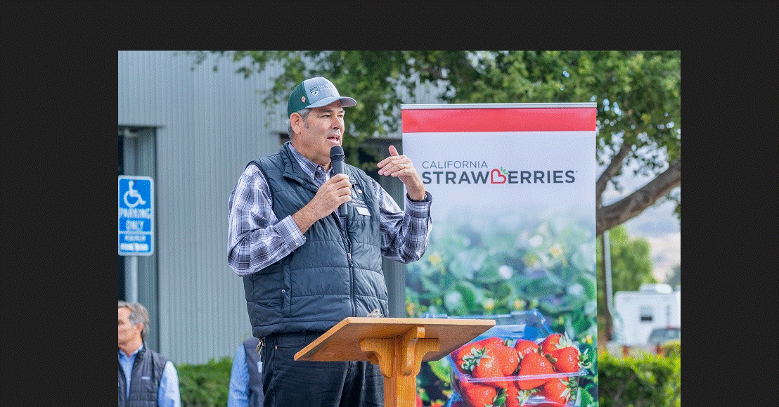 Cal Pol Strawberry Center Field Day sets attendance record - Fruit ...