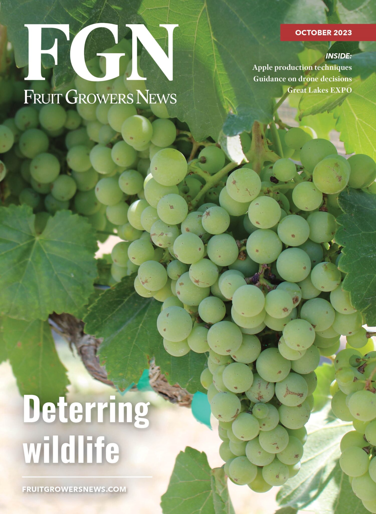 October 2023 - Fruit Growers News