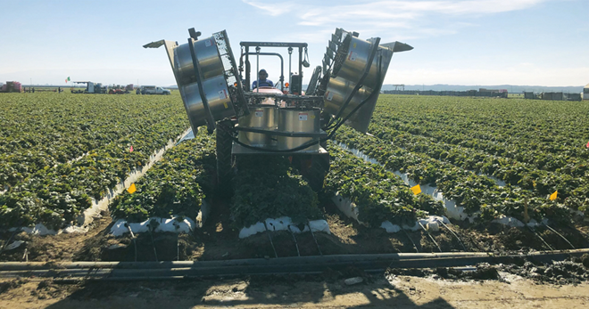Organic Grower: California’s unique strawberry pest control method ...