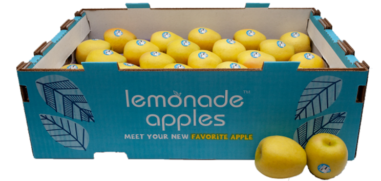 Rice Fruit's Lemonade apples offer splash of yellow - Fruit Growers News