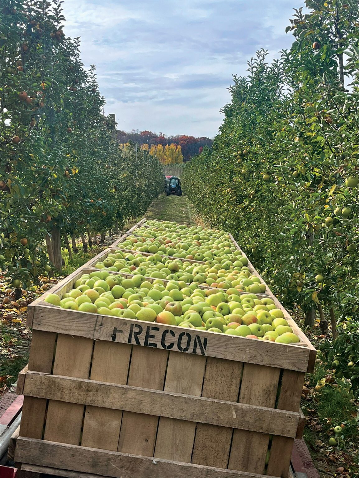 Frecon Farms: 8 decades of Pennsylvania apples - Fruit Growers News