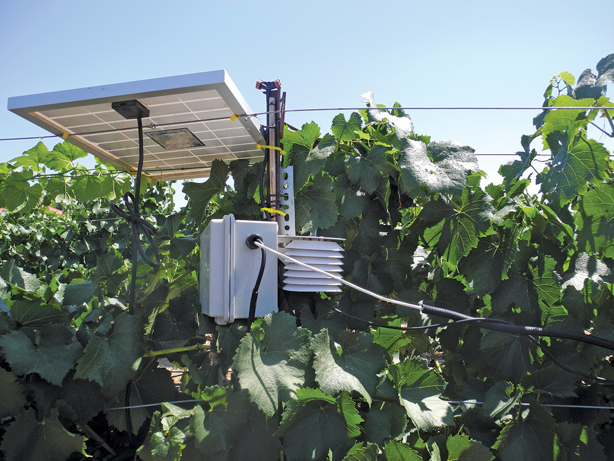 Washington State studies AI - Fruit Growers News