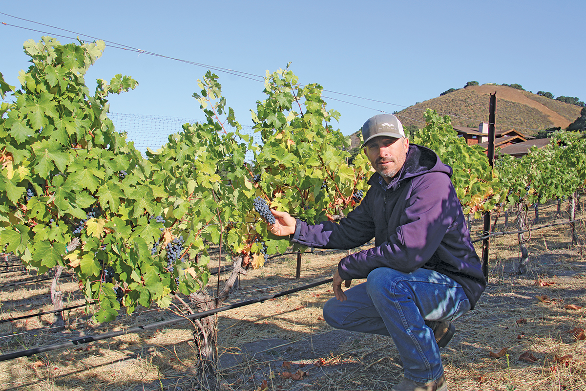 Carmel Valley winegrapes: Parsonage Village Vineyard - Fruit Growers News
