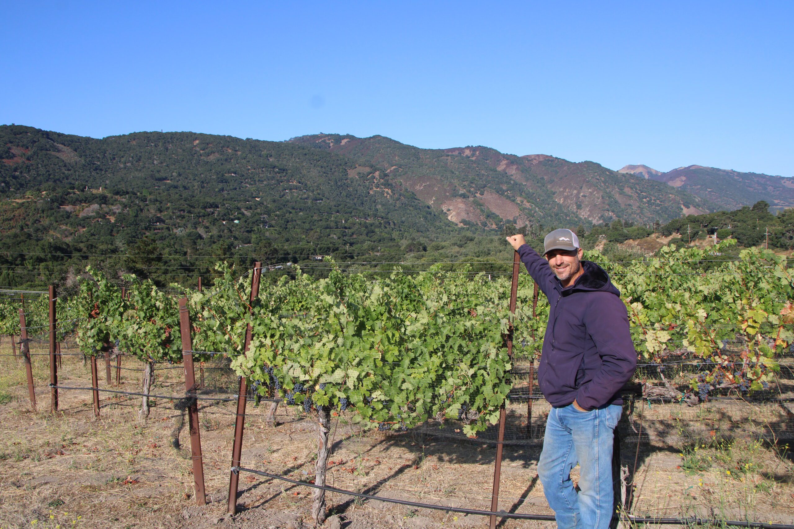 Carmel Valley winegrapes: Parsonage Village Vineyard - Fruit Growers News