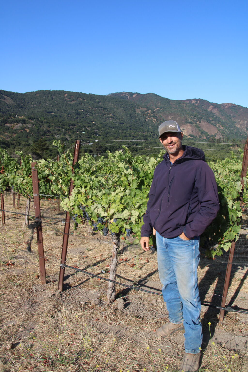 Carmel Valley winegrapes: Parsonage Village Vineyard - Fruit Growers News