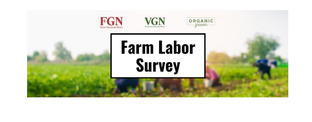 FGN Labor Survey Results Show Challenges | Fruit Growers News