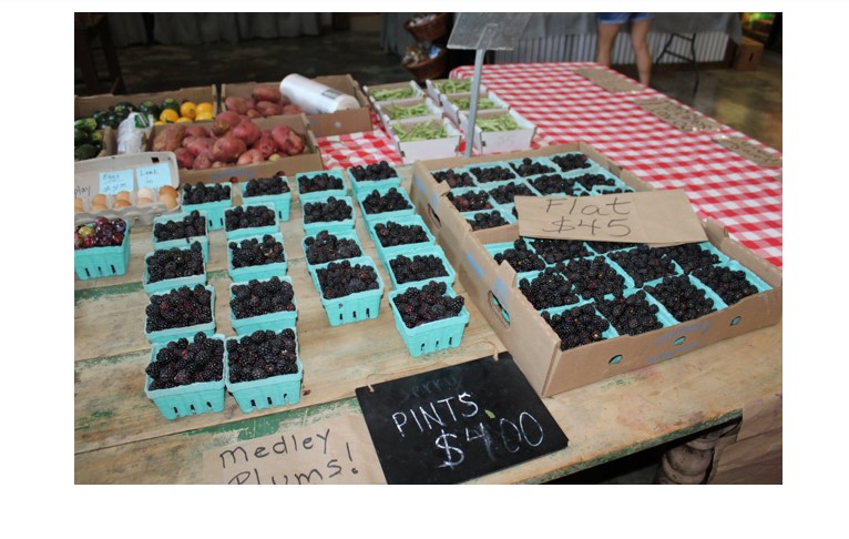 Unveiling the divide: Brand versus logo - Fruit Growers News