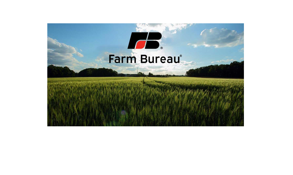 Cost of 4th of July cookout reaches record high - Fruit Growers News