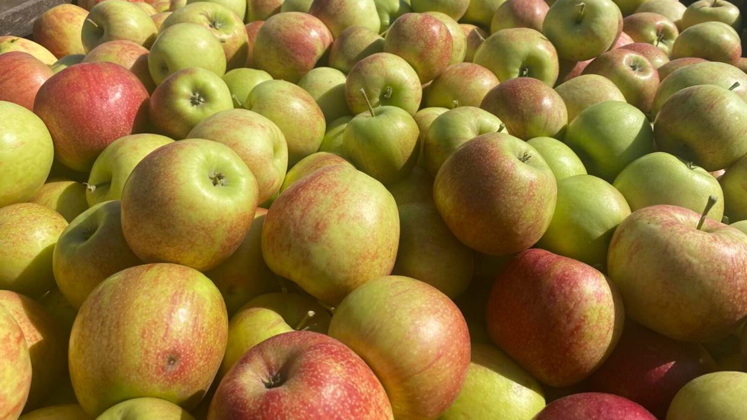 Fruitways captures value in pome fruit with AgroFresh partnership ...