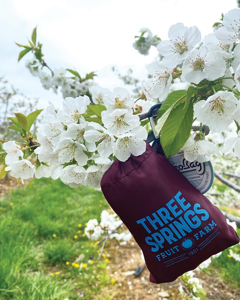 Three Springs Fruit Farm - Fruit Growers News