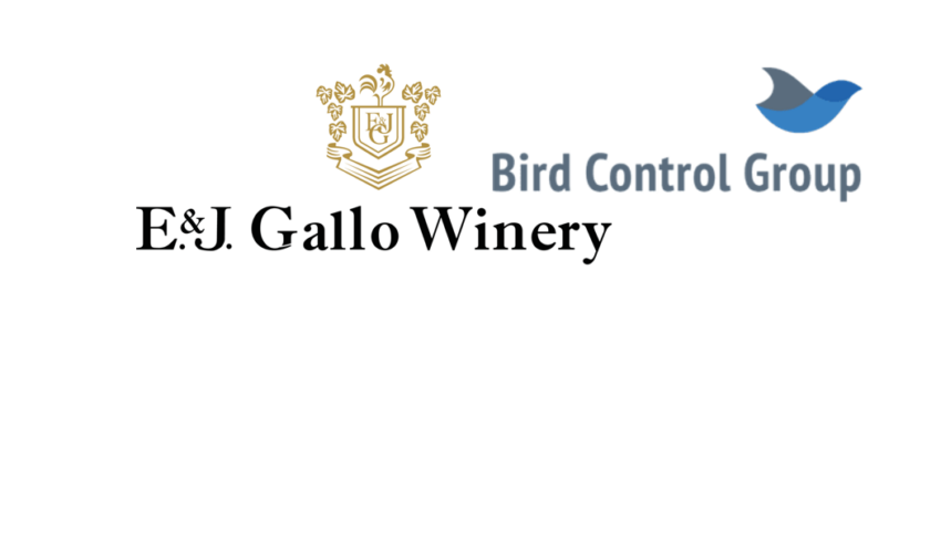Gallo adopts laser bird deterrent tech for vineyards - Fruit Growers News