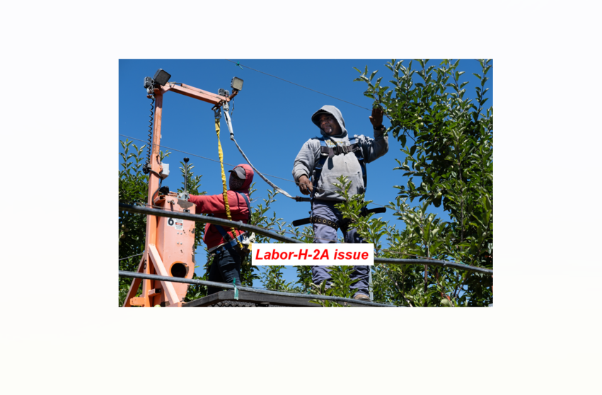 Ag Labor Review: More heavy lifting needed - Fruit Growers News