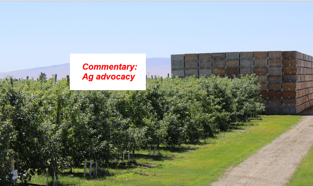 Commentary: Boot camp helps women learn to advocate for agriculture ...