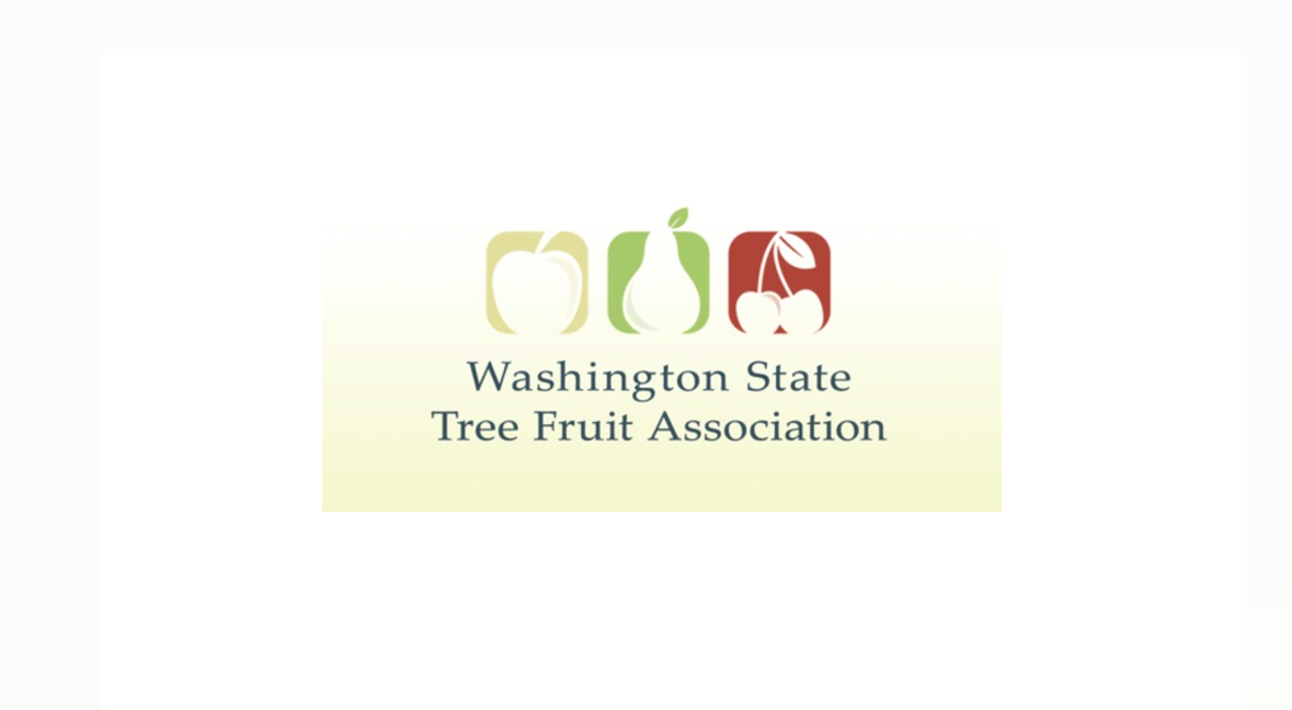 Record apple production forecast by Washington State Tree Fruit ...