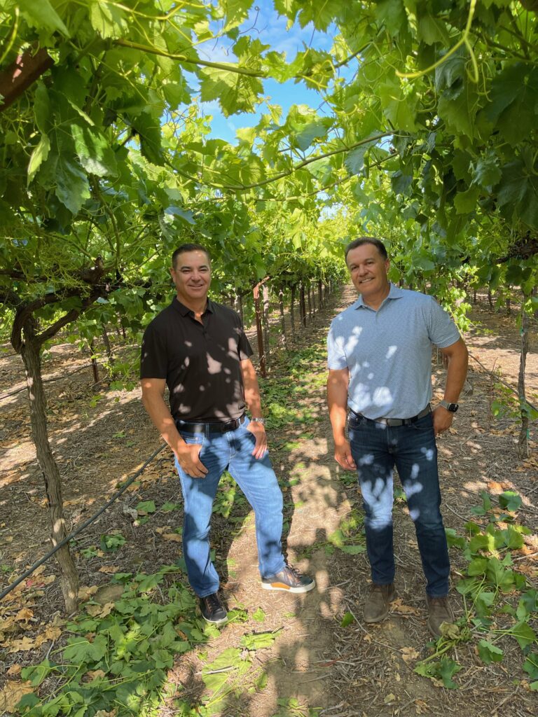 Sundale Vineyards' move to table grapes- Fruit Growers News