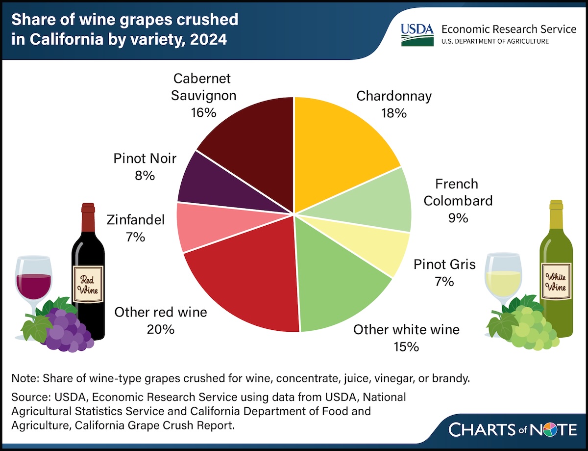Chardonnay Cabernet California wine grape report 2024 - Fruit Growers News