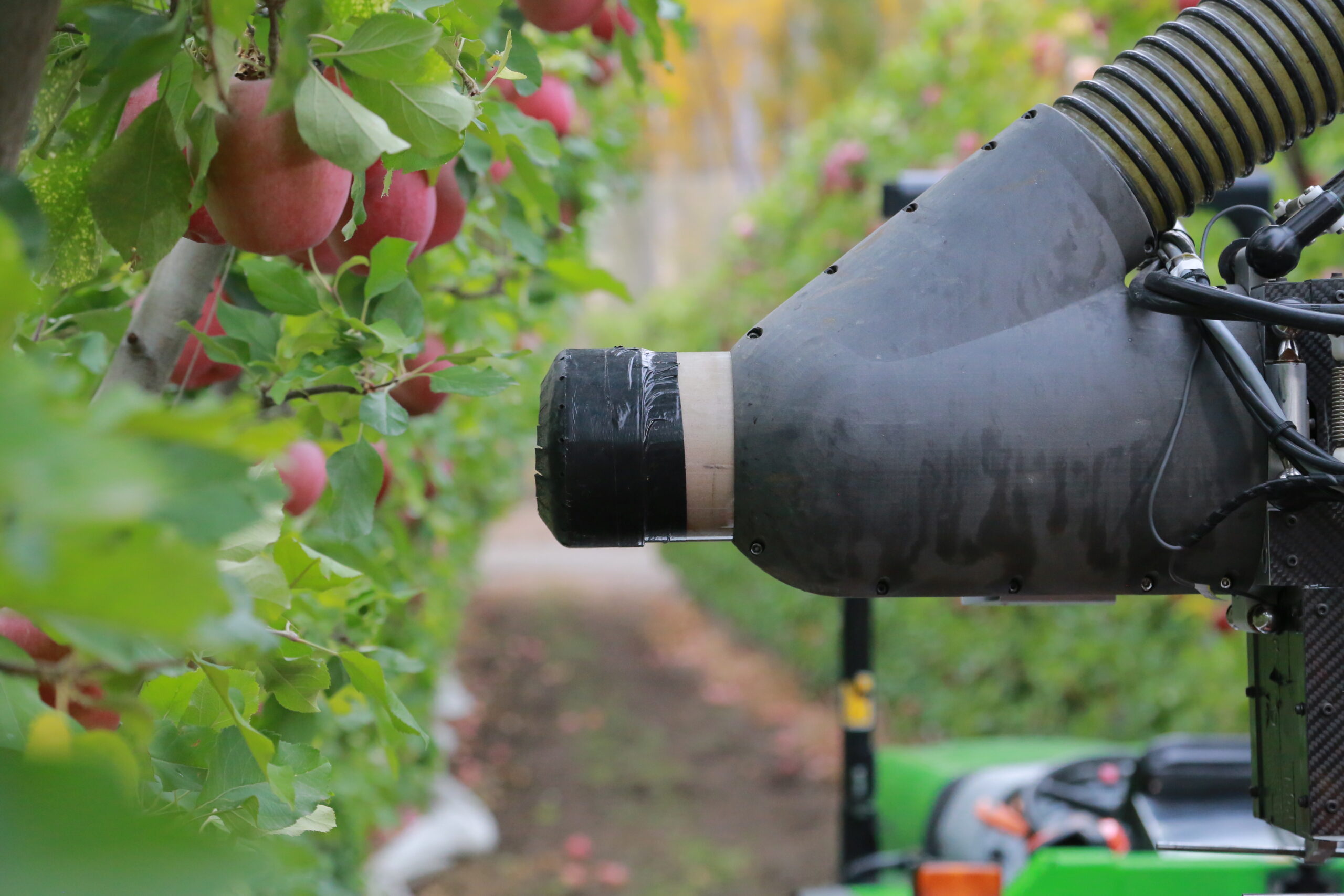 Apple harvests ripe for automated help - Fruit Growers News