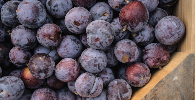 Australian Plums: The Big Three | Fruit Growers News