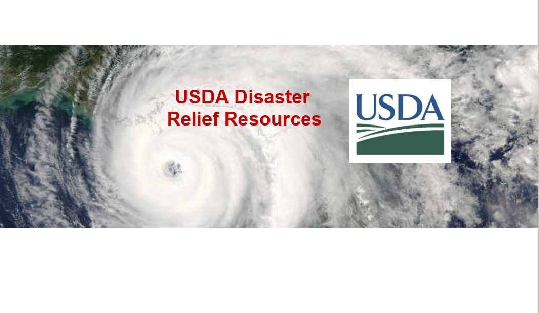 USDA releases $2 billion for specialty crops growers disaster recovery ...